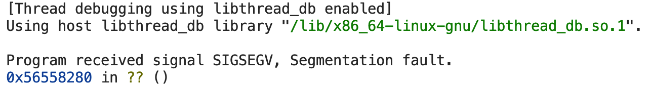 Segmentation Fault Although Doing Nothing About Instrumentaion · Issue
