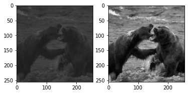 GitHub - HallelWeinberg/Image-Processing: Image Processing Homework