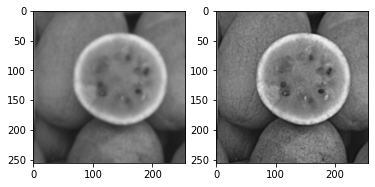 GitHub - HallelWeinberg/Image-Processing: Image Processing Homework