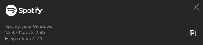 Implement snippet for removal of lyrics button · Issue #119 · Comfy-Themes/Spicetify · GitHub