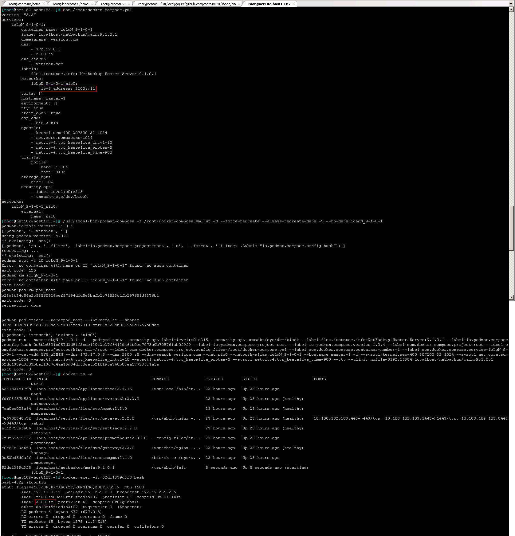 Both IPv4 and IPv6 address are assigned automatically even it has been specified in docker ...