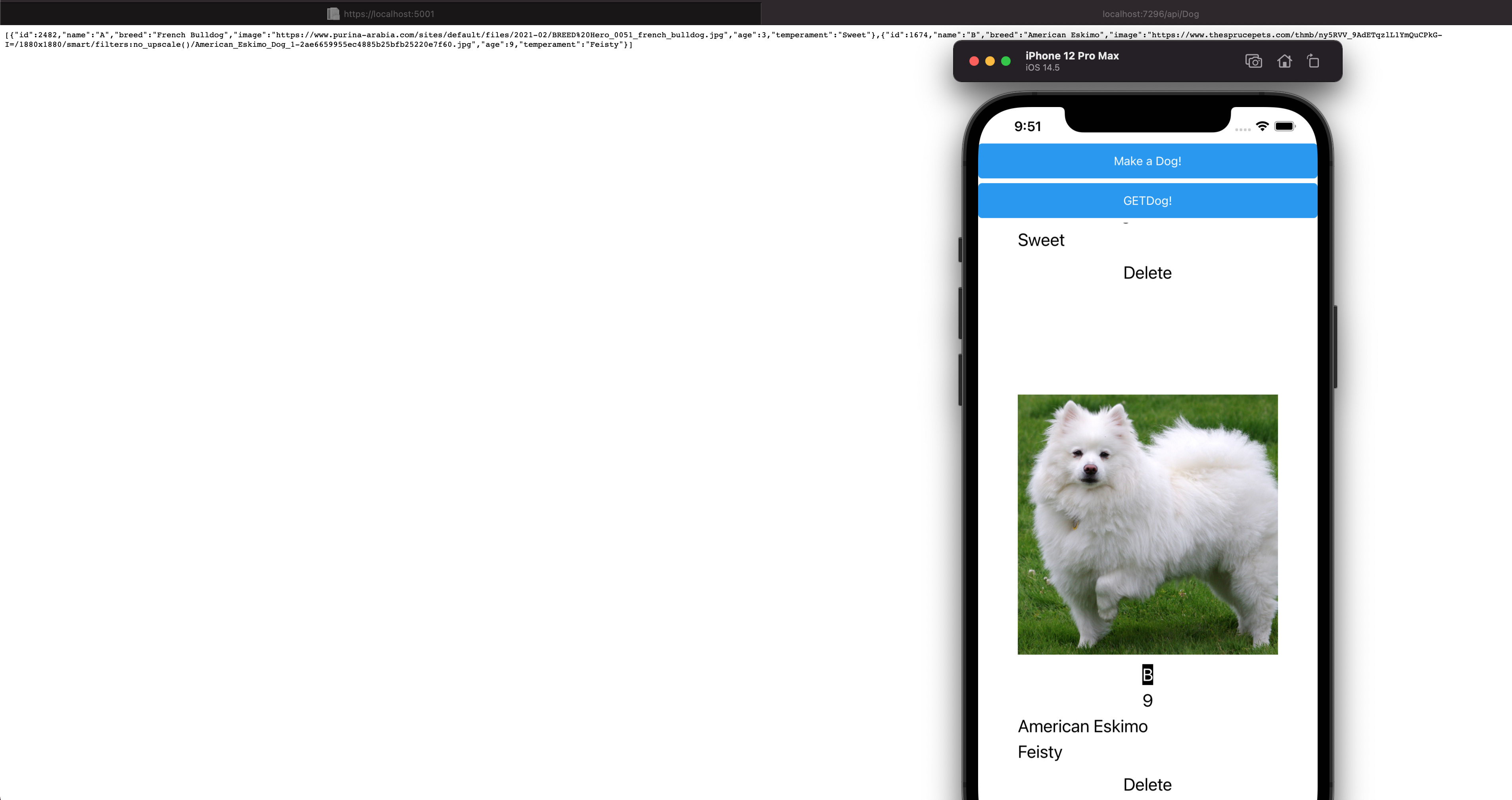 GitHub - theolliebbb/DogsApp: Backend for Dogs App