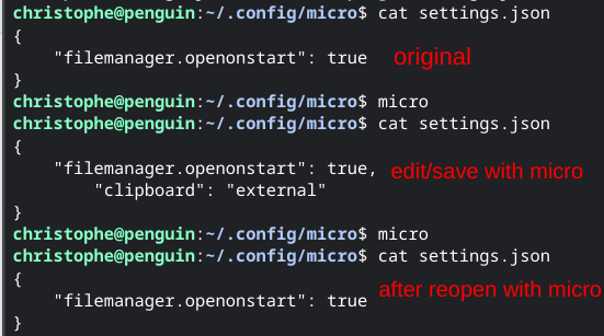 Issues on ChromeOS/Chromebook · Issue #2760 · zyedidia/micro · GitHub