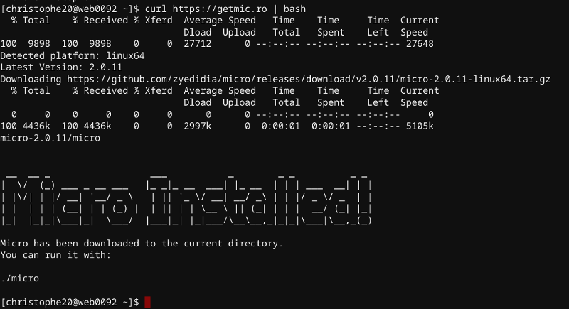 Micro only executable in home-directory · Issue #2769 · zyedidia/micro ...