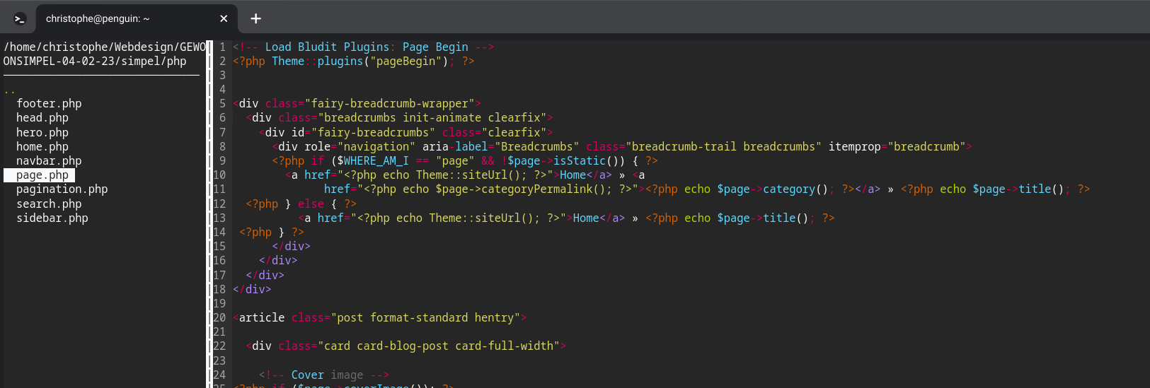 Format Document Php Html Css Js · Issue 2770 · Zyedidiamicro