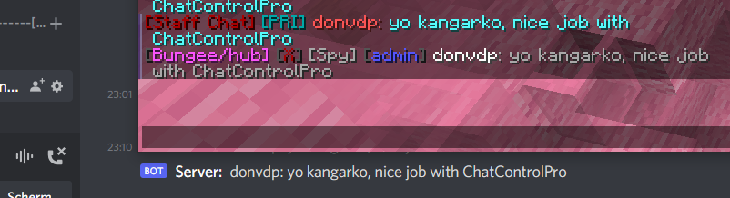 1.16.5: how to disable autospy for a single channel · Issue #1205 · kangarko/ChatControl · GitHub