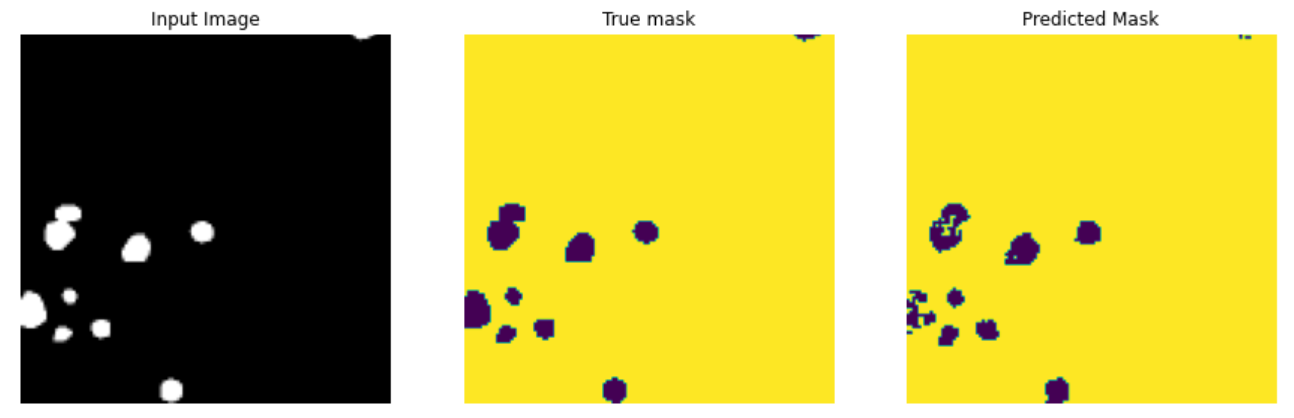 GitHub - hazirafidi/P4---Cell-Nuclei-Detection-via-Semantic-Segmentation: Semantic segmentation ...