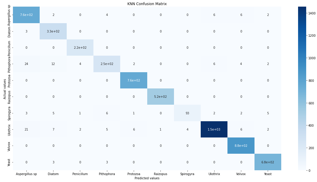 GitHub - hazirafidi/P6---Microorganism-Classification: Microorganisms classification using KNN ...