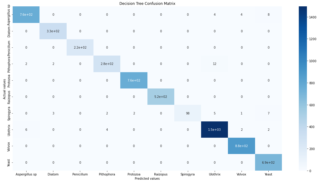 Github Haziraf Microorganism Classification