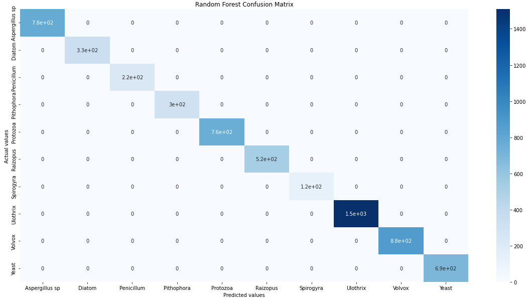 GitHub - haziraf/Microorganism-Classification