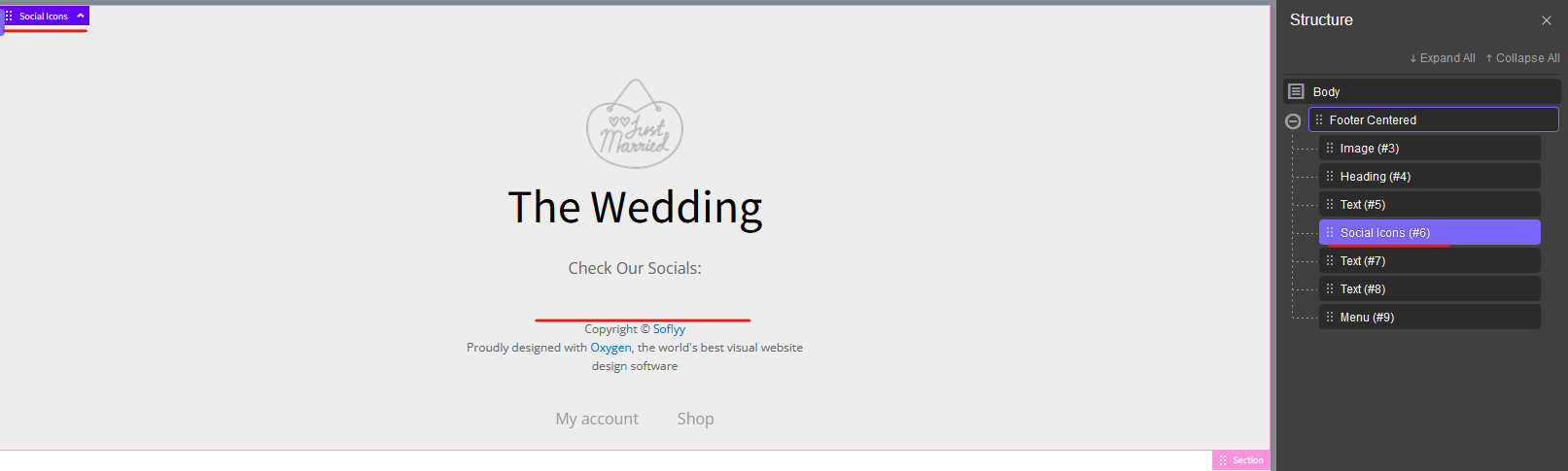 No social icons displayed · Issue #3083 · soflyy/oxygen-bugs-and-features · GitHub
