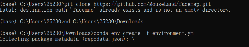 Unable to open GUI · Issue #46 · MouseLand/facemap · GitHub