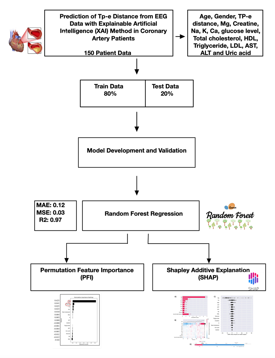 GitHub - tissueandcells/Tp-e-Interval-Prediction: This study explores how Explainable Artificial ...