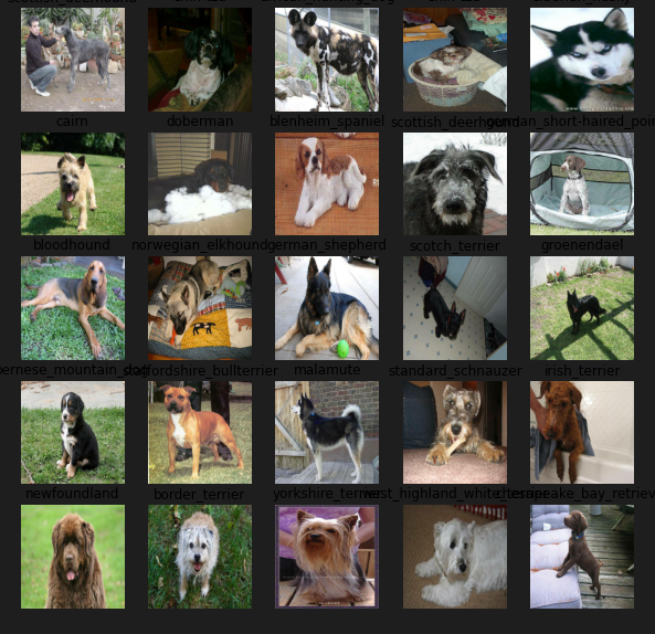 GitHub - krnkoli/Dog-Breed-Identification