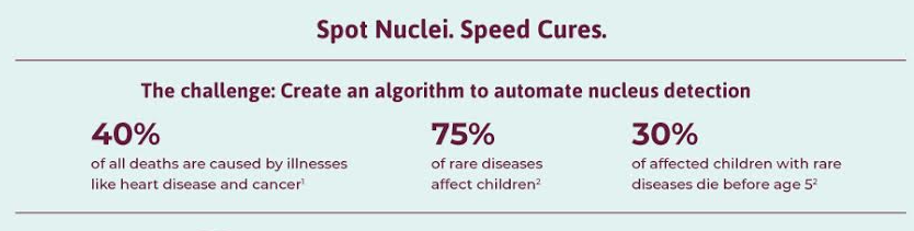 GitHub - shrnashrmn1202/Cell-Neuclei-Detection-with-U-Net: The aim of ...