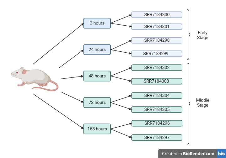 GitHub - beth-la/Proyecto_Bioinformatica
