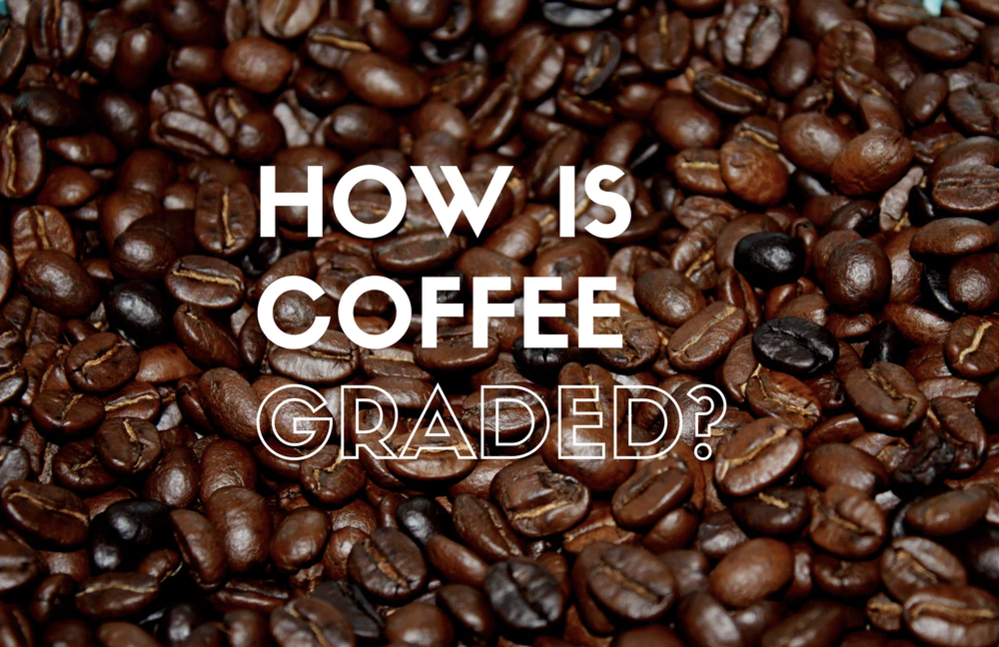 GitHub - AsmaSyedTajuddin/Coffee: dataset from Kaggle