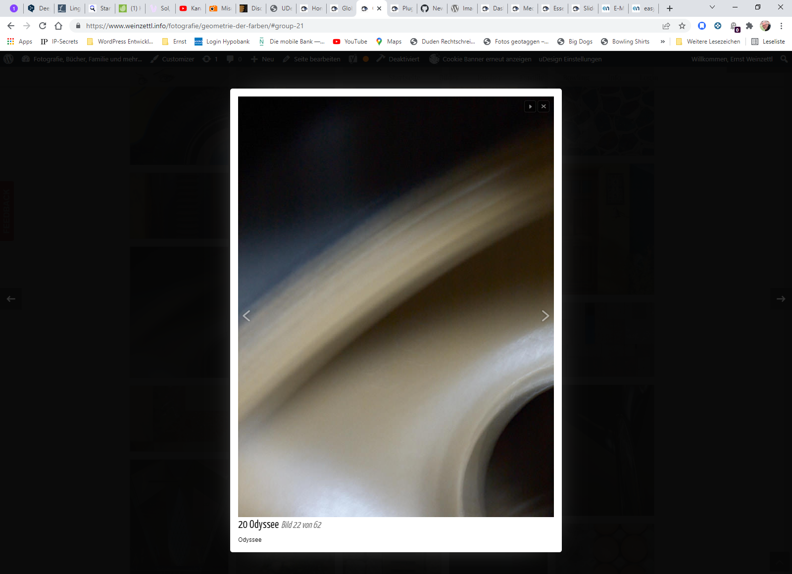 Customizing metadata displayed in lightbox · Issue #935 · archetyped/simple-lightbox · GitHub