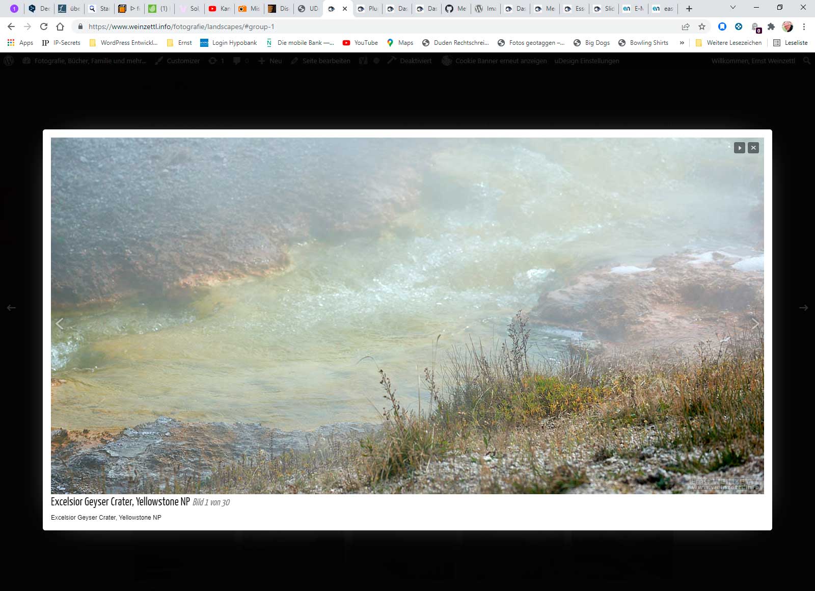 Customizing metadata displayed in lightbox · Issue #935 · archetyped/simple-lightbox · GitHub