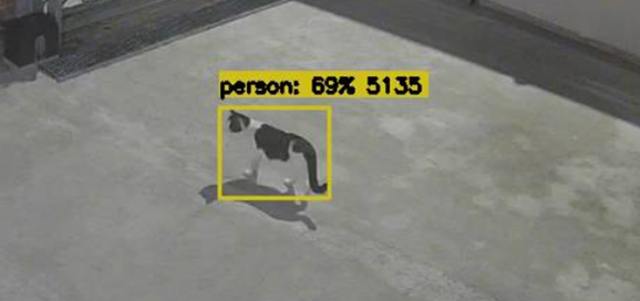 False Positives How To Best Reduce Them · Issue 8319 · Blakeblackshear Frigate · Github