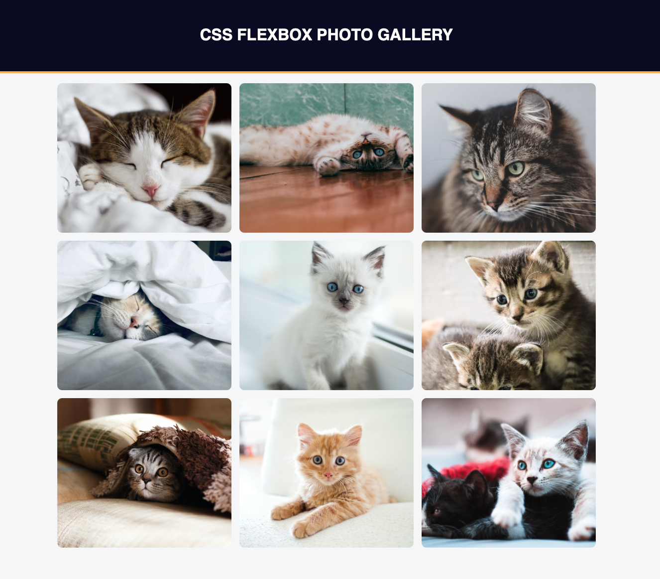 GitHub - salehghulamqasim/Flexbox-photo-gallery: This is a basic page ...