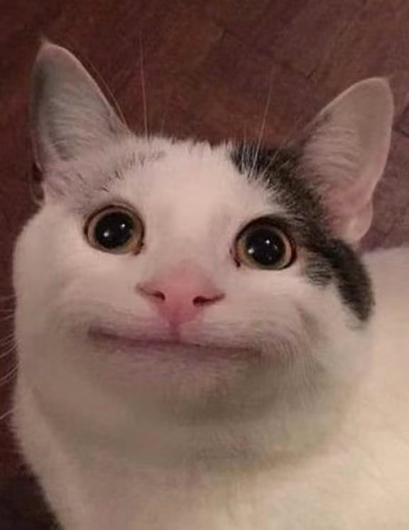 GitHub - gcomoo/Story2