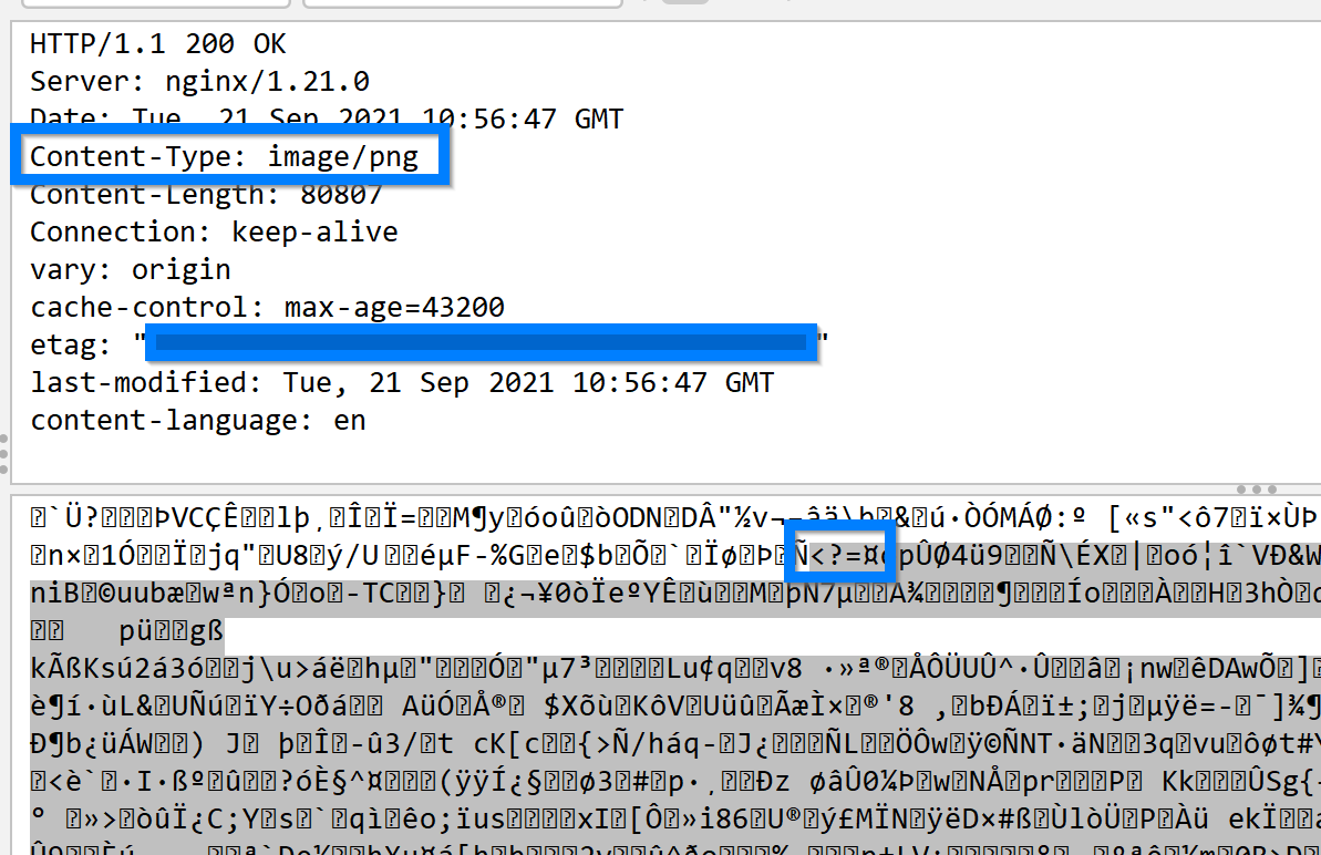 False Positive: Source Code Disclosure - PHP :: PNG (Portable Network Graphic) files · Issue ...