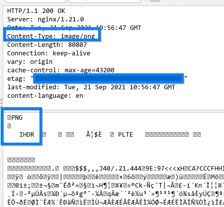 False Positive: Source Code Disclosure - PHP :: PNG (Portable Network Graphic) files · Issue ...