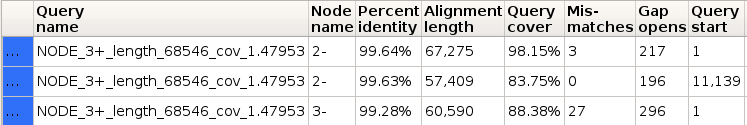 correcting multiplicity in 001_best_spades_graph.gfa does not improve ...