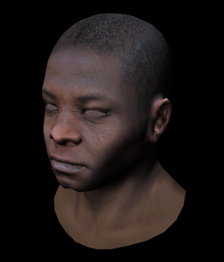 GitHub - HeptagramV/TinyRender: 基于c++不借助第三方库实现的小型光栅化渲染器