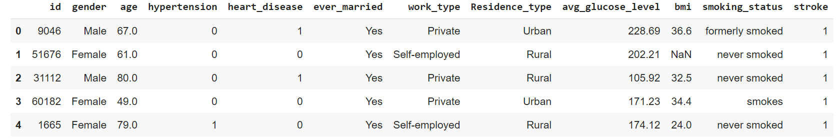 GitHub - CDCapobianco/Stroke-Predictor-AI: A small ML program which predicts stroke probability ...