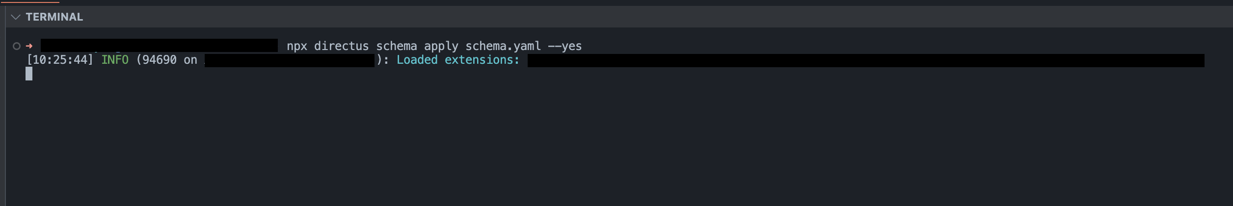 [9.21.0] directus schema apply doesn't work · Issue #16604 · directus/directus · GitHub