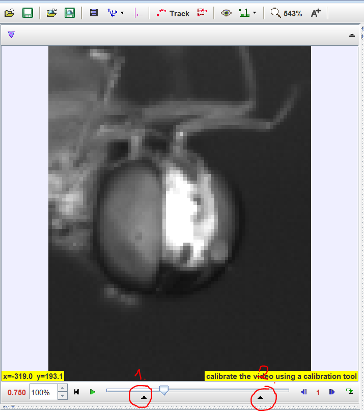 GitHub - AnnaVerbe/Tracker_Insect_flight