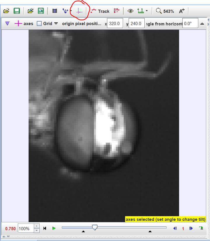 GitHub - AnnaVerbe/Tracker_Insect_flight