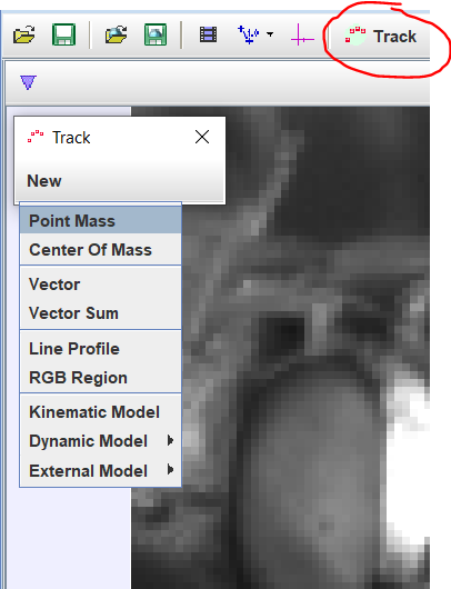 GitHub - AnnaVerbe/Tracker_Insect_flight