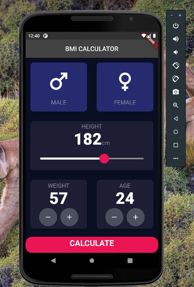 GitHub - somtech123/BMI-Calculator: BMI Calculator Flutter App with State Management