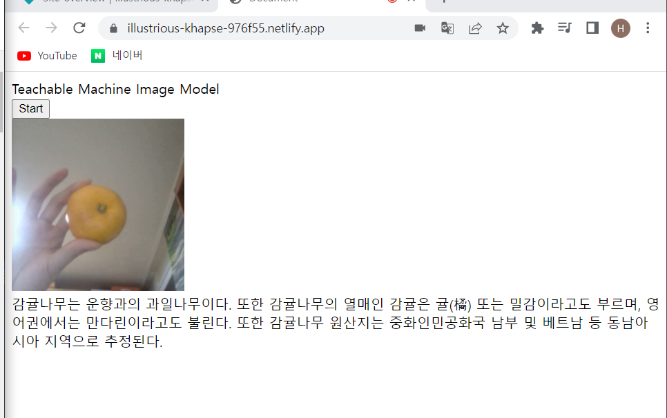 Teachablemachine을 활용한 과일도감 과일 등급 선정 Yunsejinraspberrypi Github Wiki 