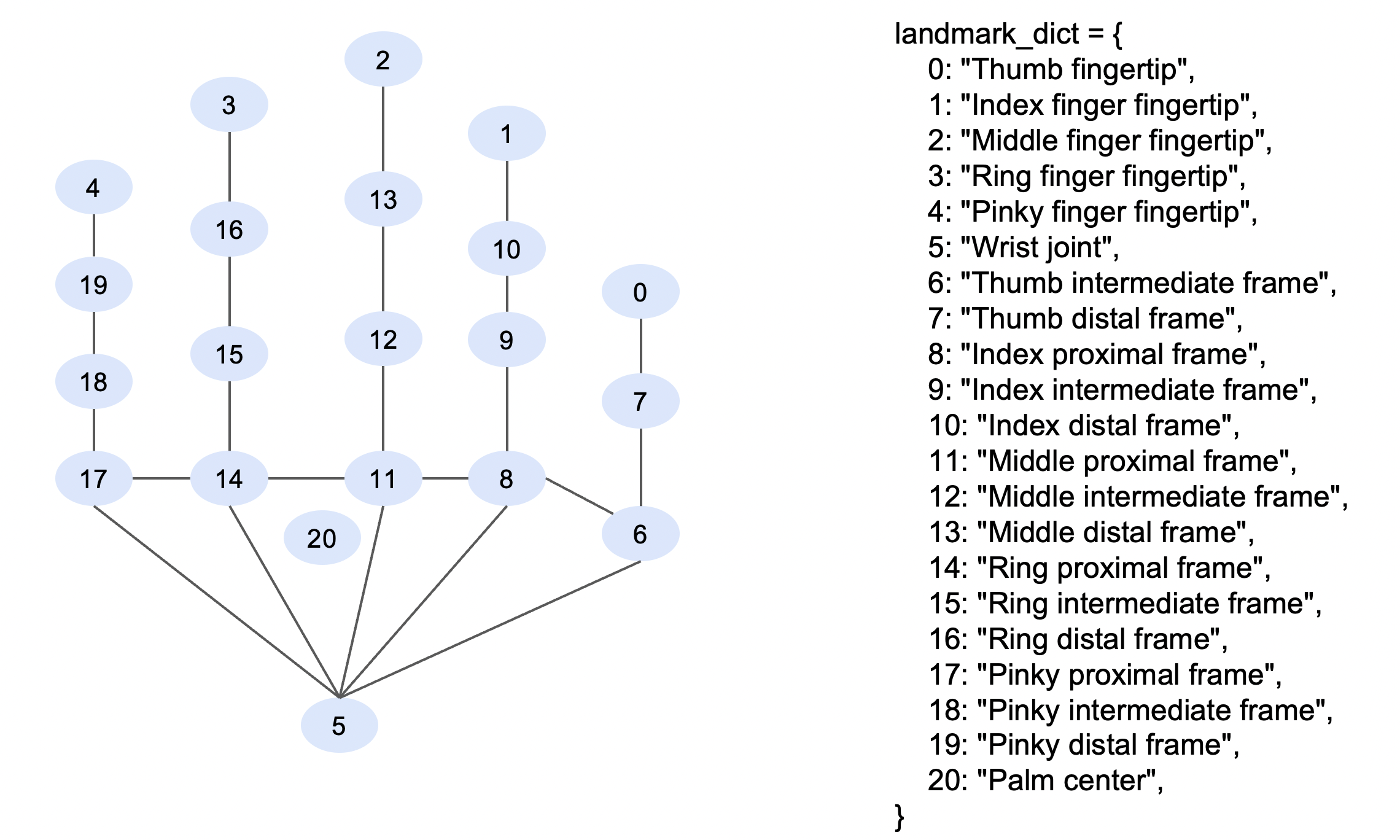 Correspondence between actual hand joints to row index of per-frame hand pose · Issue #5 ...