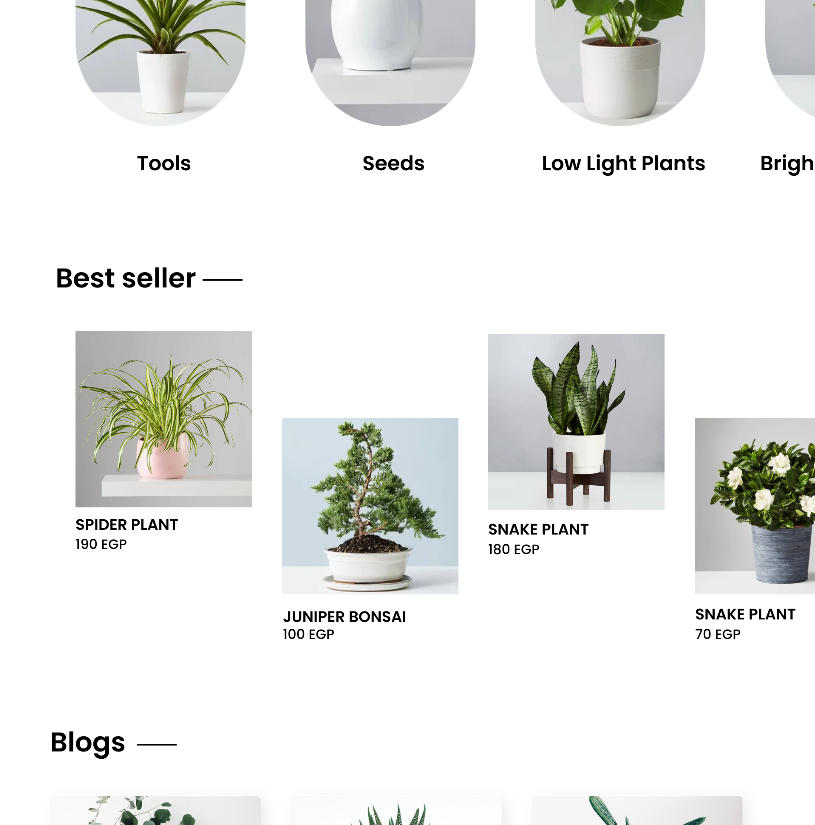 GitHub - 3shmawi/Hackathon-La-Via-Project