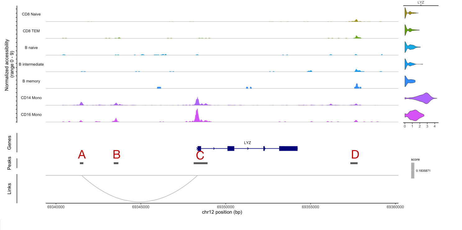 Grey peak gene linkage · Issue #1106 · stuart-lab/signac · GitHub