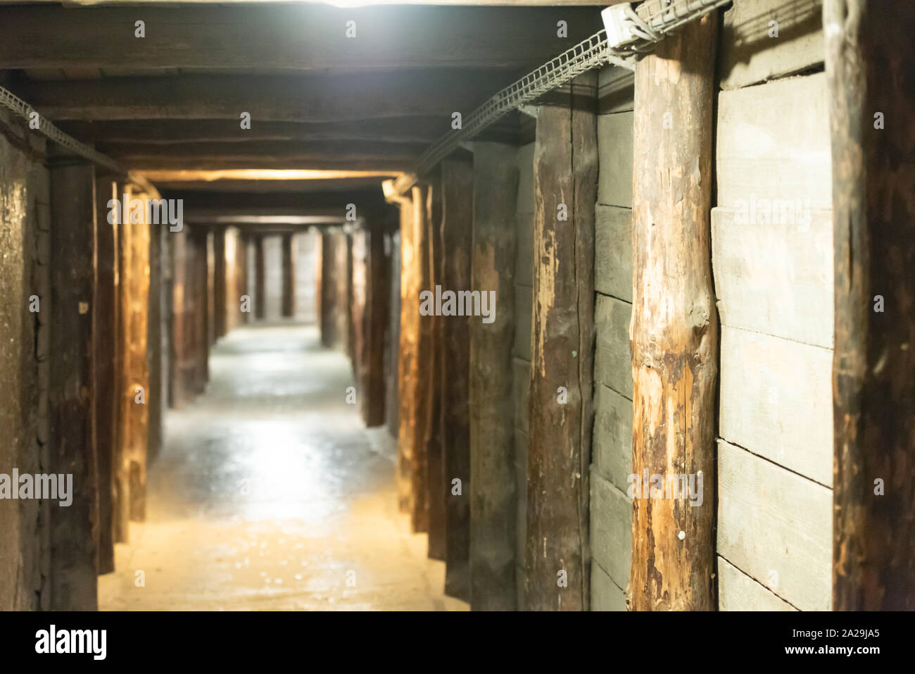 Wooden Support Beams for Underground Projects · Issue #57280 ...