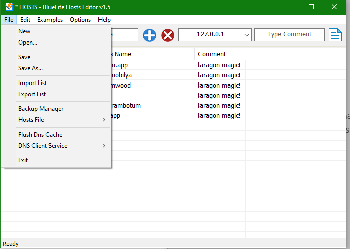 Host Editor Features Buton or Context Menu (import/export list, DNS cache clear(ipconfig/flush ...