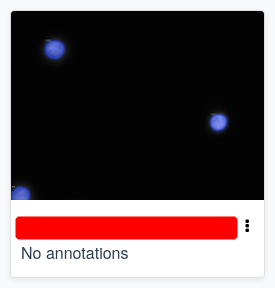 Image are not detected as "annotated" · Issue #343 · jsbroks/coco-annotator · GitHub