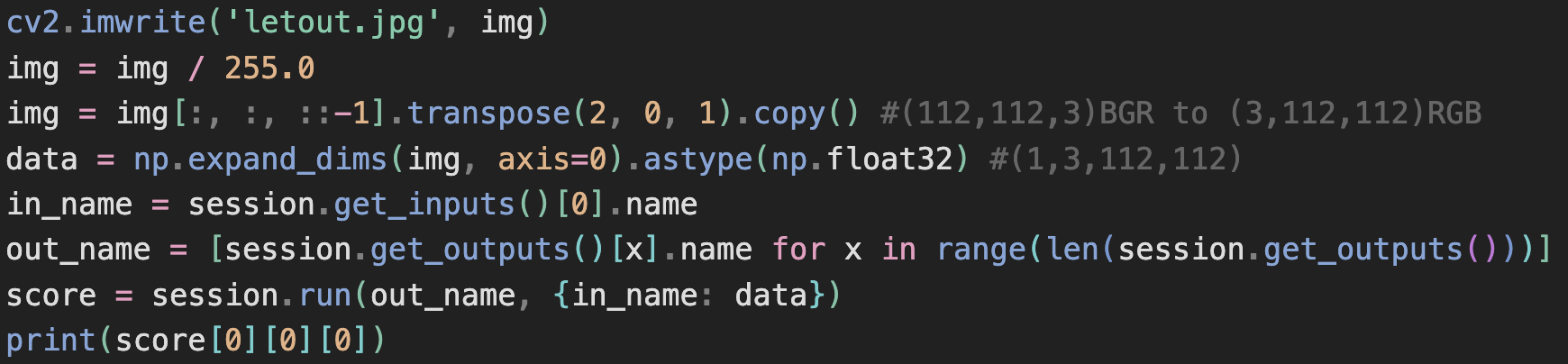 Difference between TNN and onnx inference · Issue #1870 · Tencent/TNN · GitHub