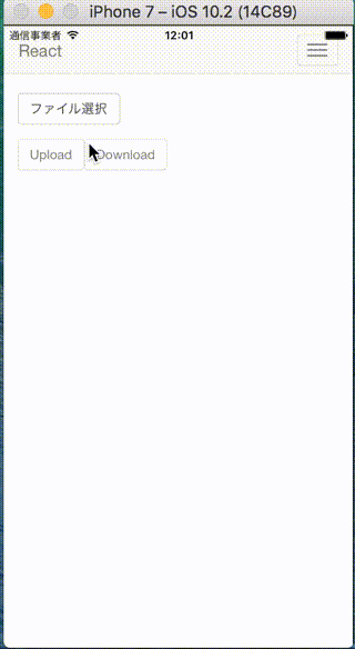 GitHub - ozaki25/webview_sample_web