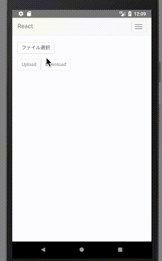 GitHub - ozaki25/webview_sample_web