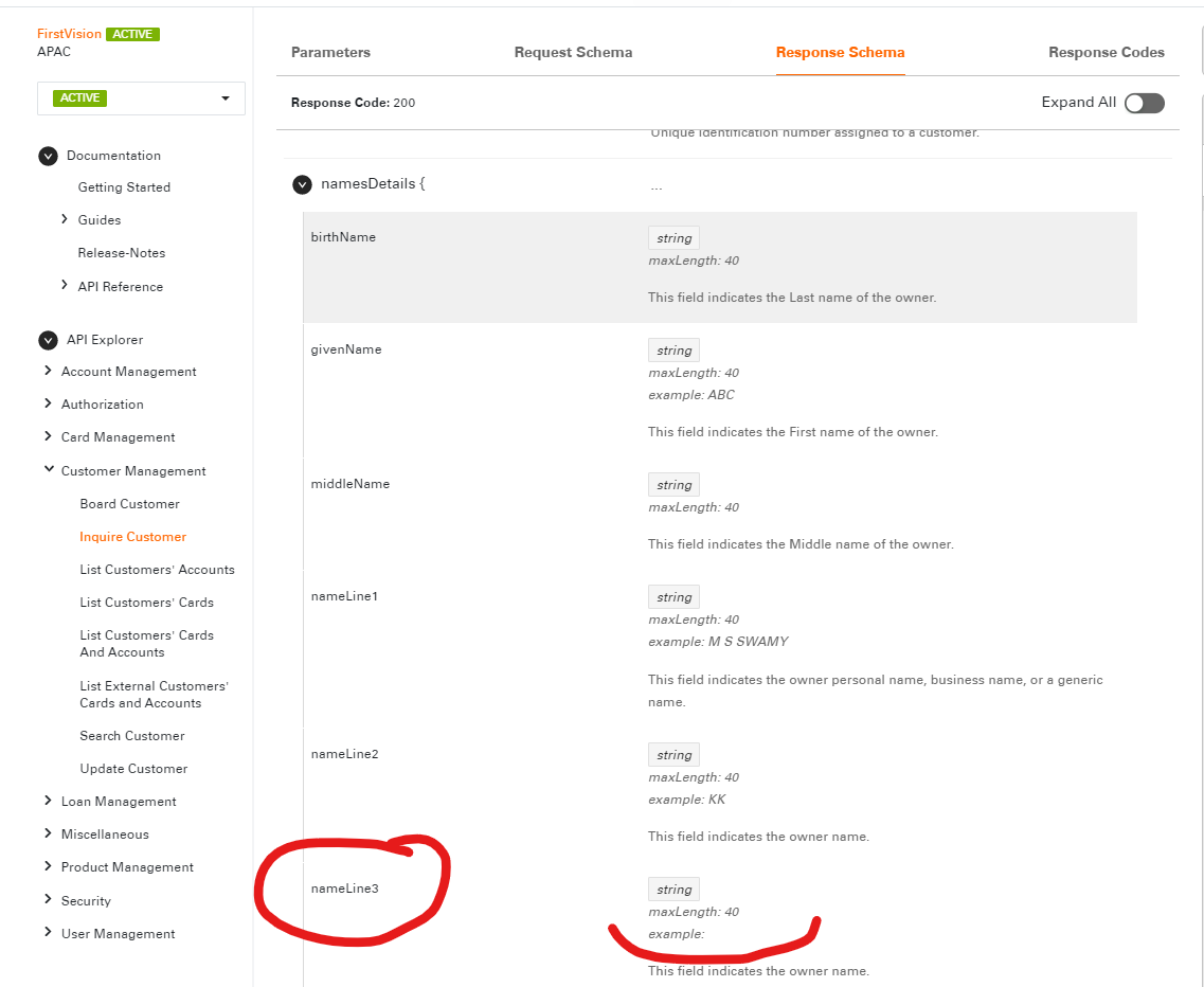 Inconsistency In Value Of Example Field · Issue 372 · Fiservsupport · Github