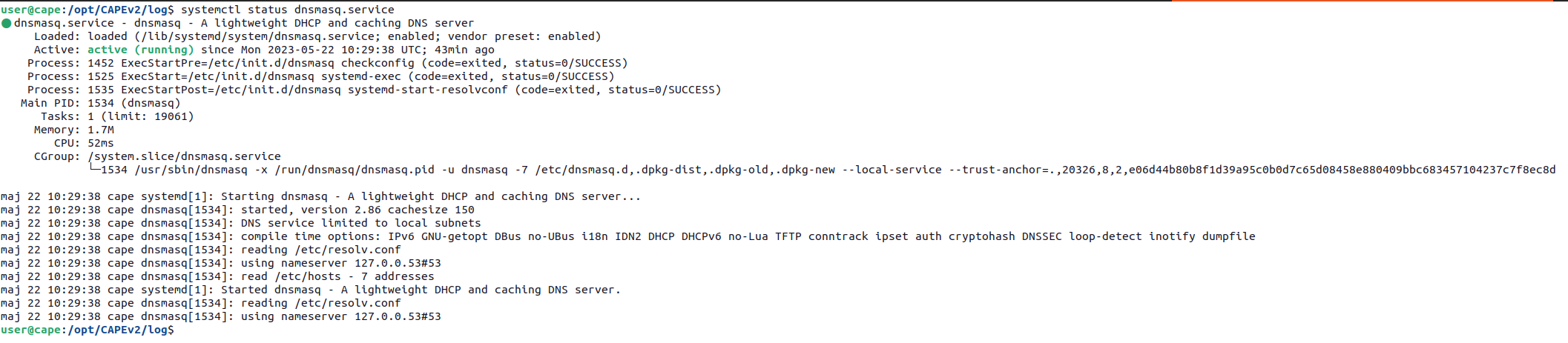 Need help with fixing network configuration, DNS does not work · Issue #1533 · kevoreilly/CAPEv2 ...