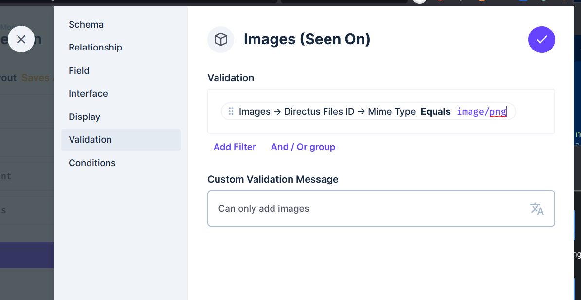 Field Validation / Filtering by MIME Type doesn't work · Issue #15184 · directus/directus · GitHub