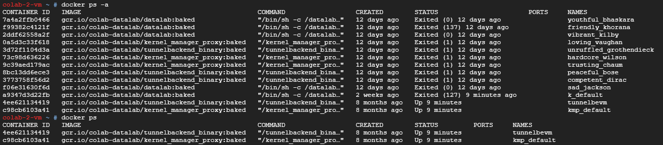 Can't connect Colab to a custom GCE VM after stopping and starting the instance · Issue #3173 ...